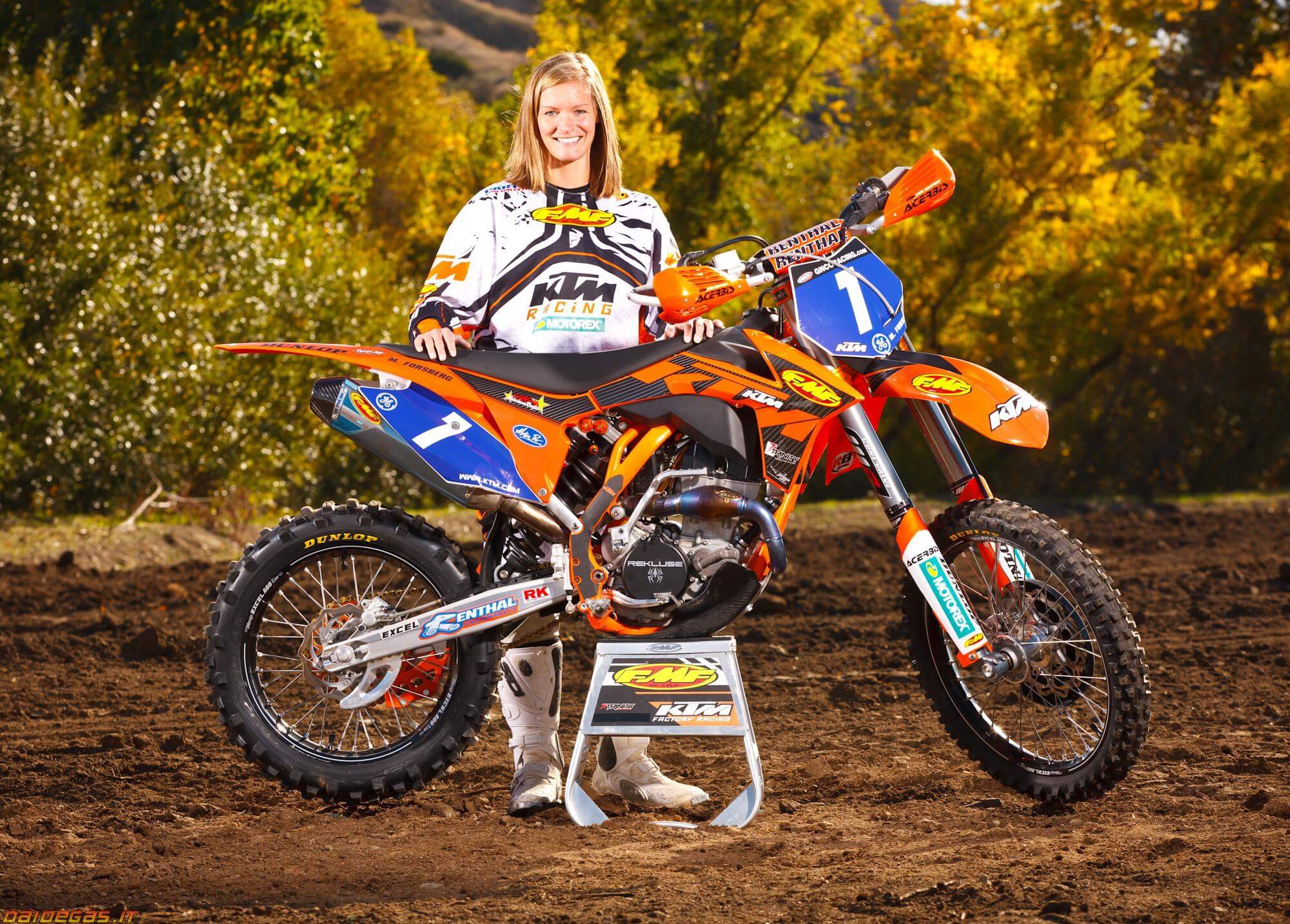 DONNA VS MOTO ..chi è più carina? BIKES 'n BABES - DaiDeGas Forum